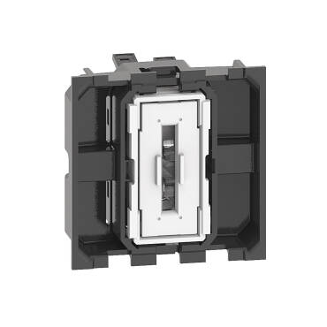 BTicino Living Now K4001M2A 10 AX 250V AC 2 Module Switch Mechanism ...