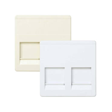 Flat Voice and Data Plate with Dust Cover for 2 AMP RJ45 Connectors ...